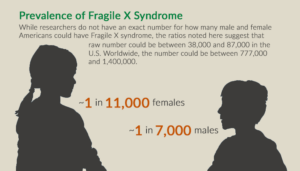 Fragile X Syndrome | NFXF