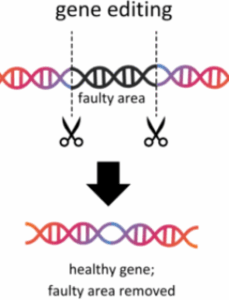Gene Therapies in Action: A Look at Examples of Successful Treatments