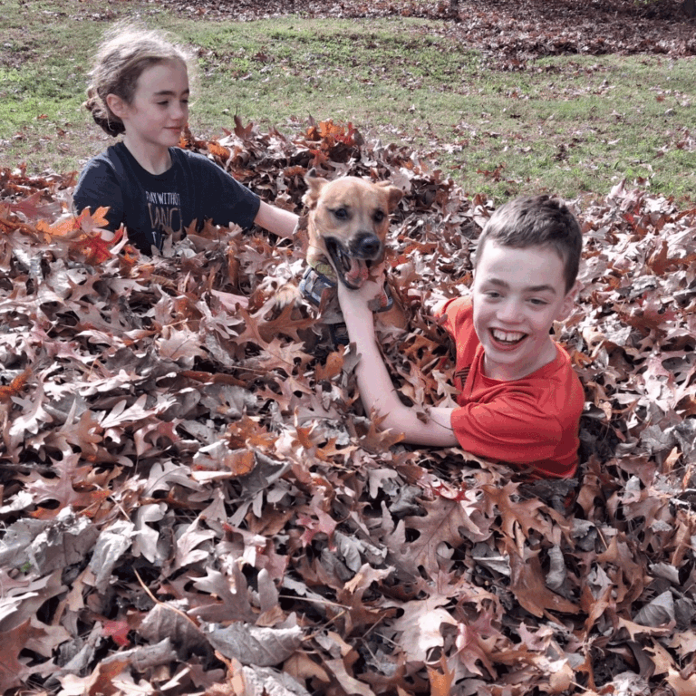 Meet James and Emily Leonard | NFXF