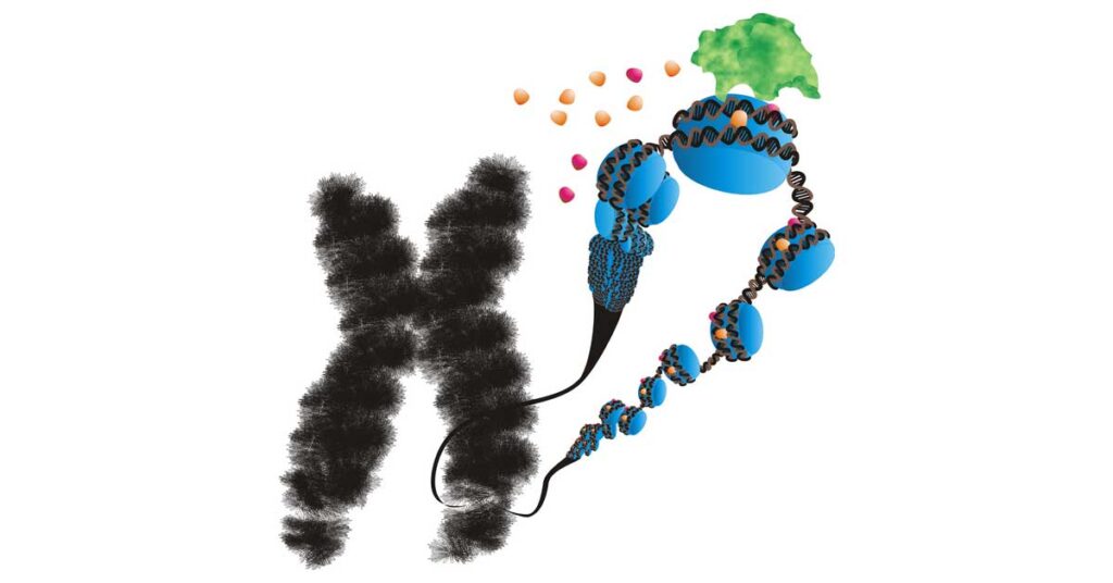 Understanding a Fragile X Intermediate Result